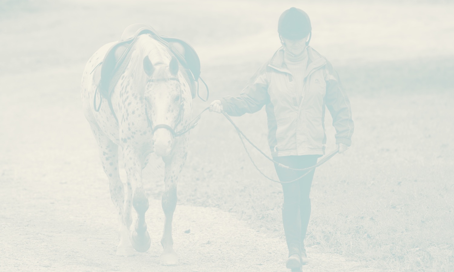 Lead5k-featured – homepage – Lasata